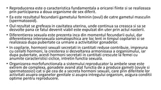 Ap genital fem anato i | PPTX