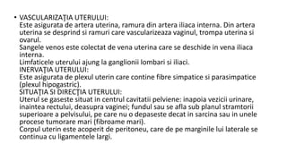 Ap genital fem anato i | PPTX