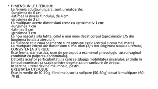 Ap genital fem anato i | PPTX