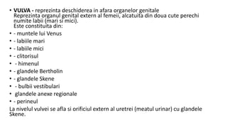 Ap genital fem anato i | PPTX