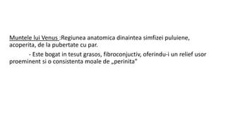 Ap genital fem anato i | PPTX