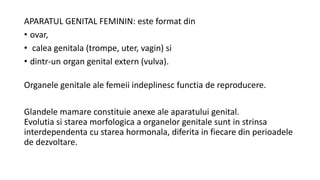 Ap genital fem anato i | PPTX