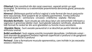 Ap genital fem anato i | PPTX