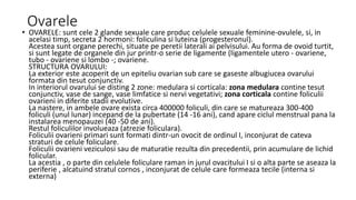 Ap genital fem anato i | PPTX