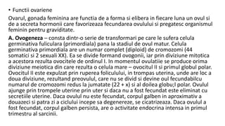 Ap genital fem anato i | PPTX