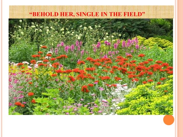 APG III Classification.pdf