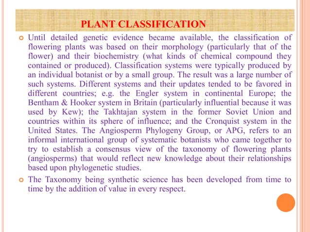 APG III Classification.pdf