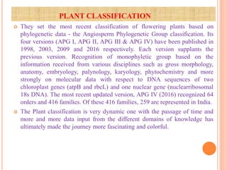 APG III Classification.pdf
