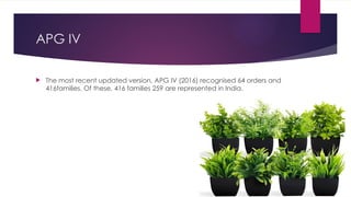 Taxonomy - APG IV system of Classification | PPTX