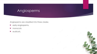 Taxonomy - APG IV system of Classification | PPT