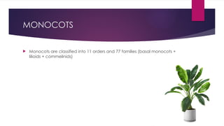 Taxonomy - APG IV system of Classification | PPTX