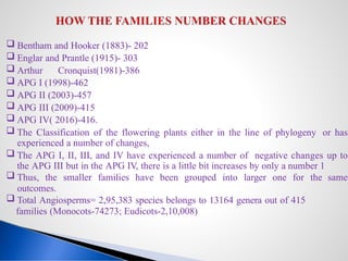 APG IV classification_details from I to IV | PPTX