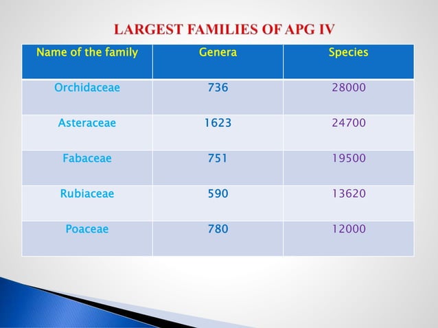 ANGIOSPERMS PHYLOGENY GROUP IV SYSTEM OF CLASSIFICATION.pdf