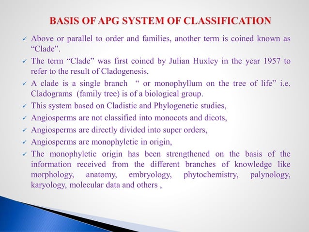 ANGIOSPERMS PHYLOGENY GROUP IV SYSTEM OF CLASSIFICATION.pdf