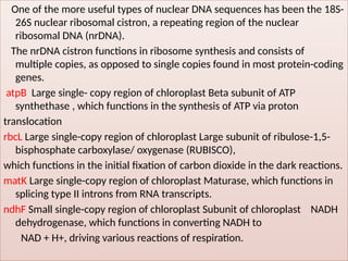 APG MOLECULAR BASED CLASSIFICATION BY THE ASSISTANT PROFESSOR OF MJPRU ...
