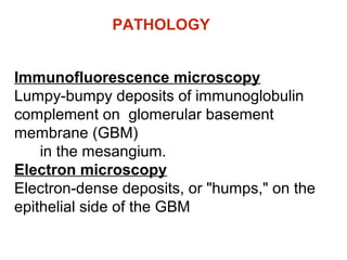NEPHRITIC SYNDROME / APSGN IN CHILDREN | PPT
