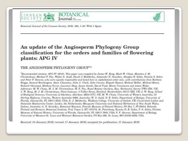 Clasificación taxonómica APG IV (Angiosperm phylogenetic groups) en e…