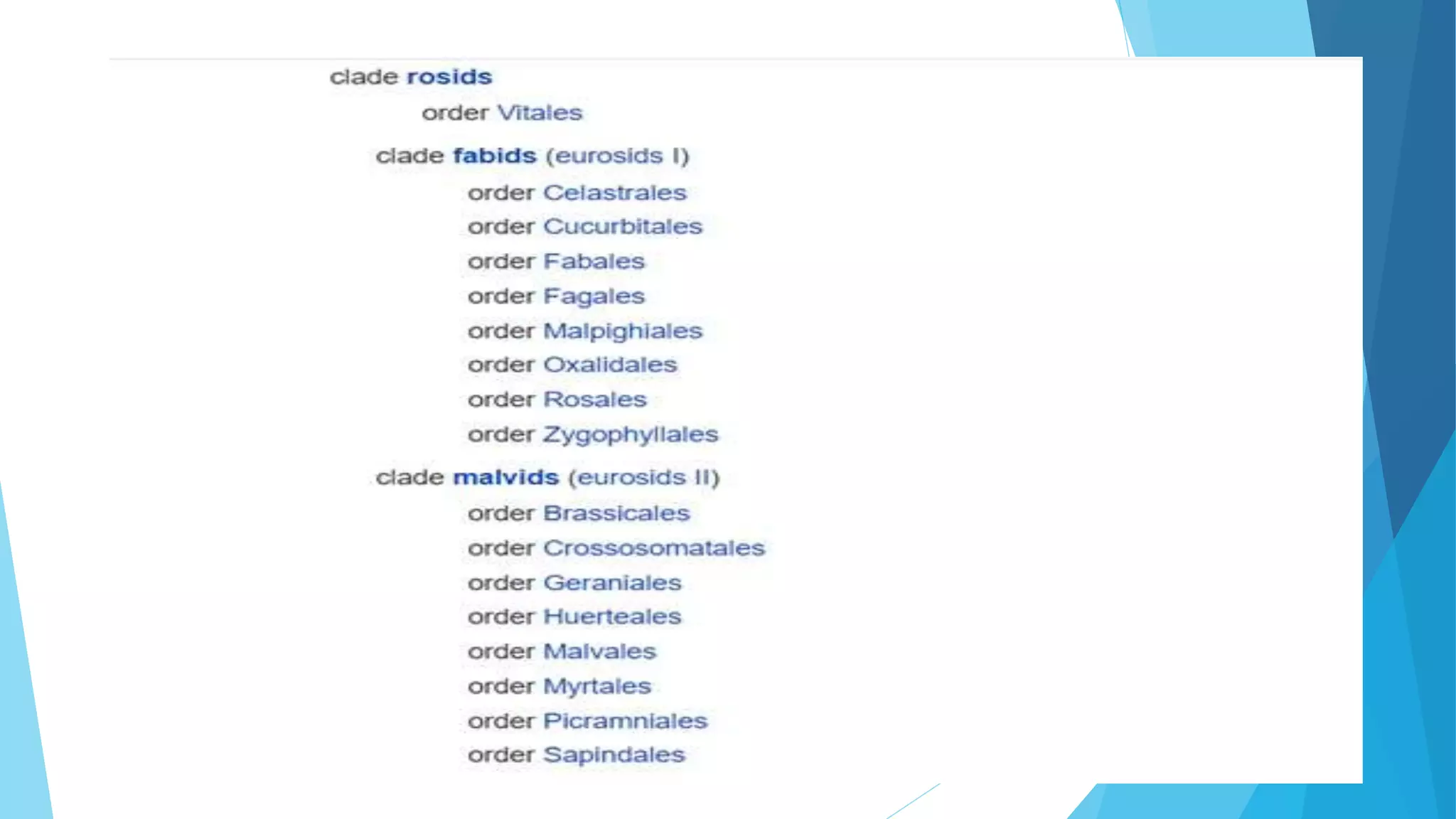 APG system of classification.pptx