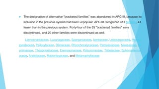 APG system of classification.pptx