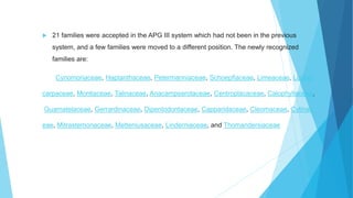 APG system of classification.pptx