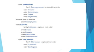 APG system of classification.pptx
