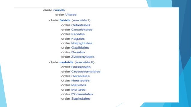 APG system of classification.pptx