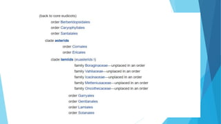 APG system of classification.pptx