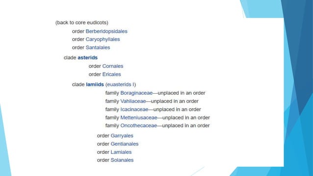 APG system of classification.pptx