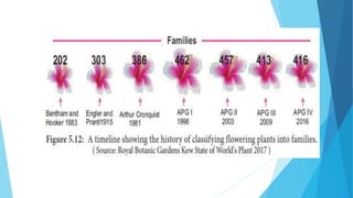 APG system of classification.pptx