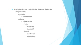 APG system of classification.pptx