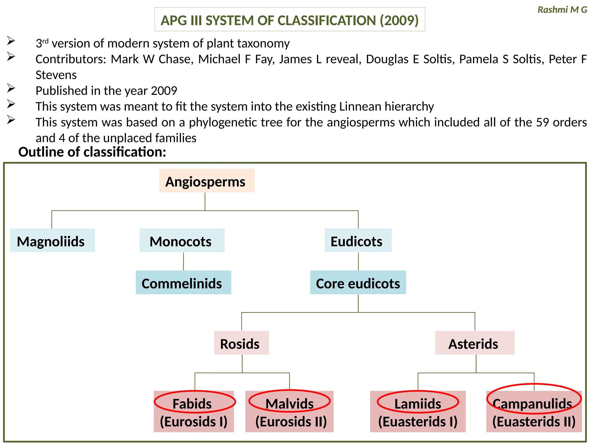 APG systems of Plant Classification (I, II, III, IV- The modern plant classification system).pptx