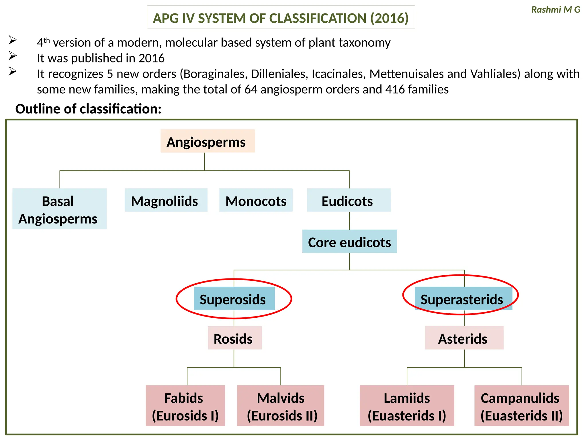 APG systems of Plant Classification (I, II, III, IV- The modern plant classification system).pptx