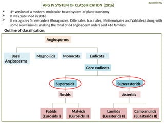 APG systems of Plant Classification (I, II, III, IV- The modern plant ...
