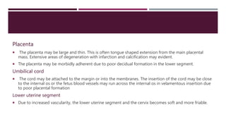 Antepartum hemorrhage | PPTX