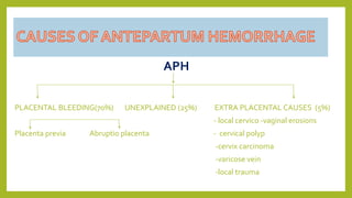 APH.pptx | Pregnancy | Reproductive Health