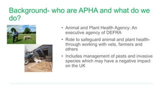 Apha - David Fouracre - Asian Hornet - Bee Prepared | PPTX