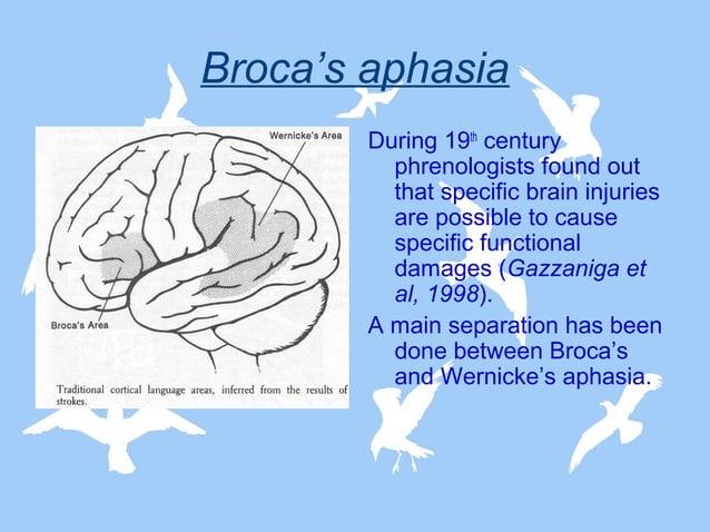 Aphasia | PPT | Brain and Nervous System Disorders | Diseases and ...