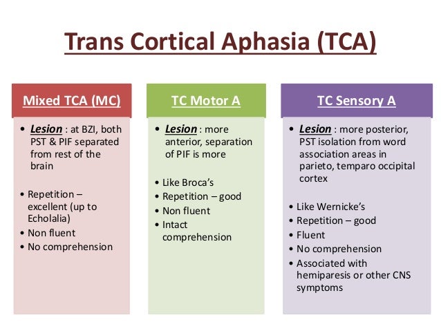 Aphasia in brief - Dr. Kasyapa