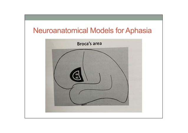 Aphasia and common aphasia syndromes.pdf