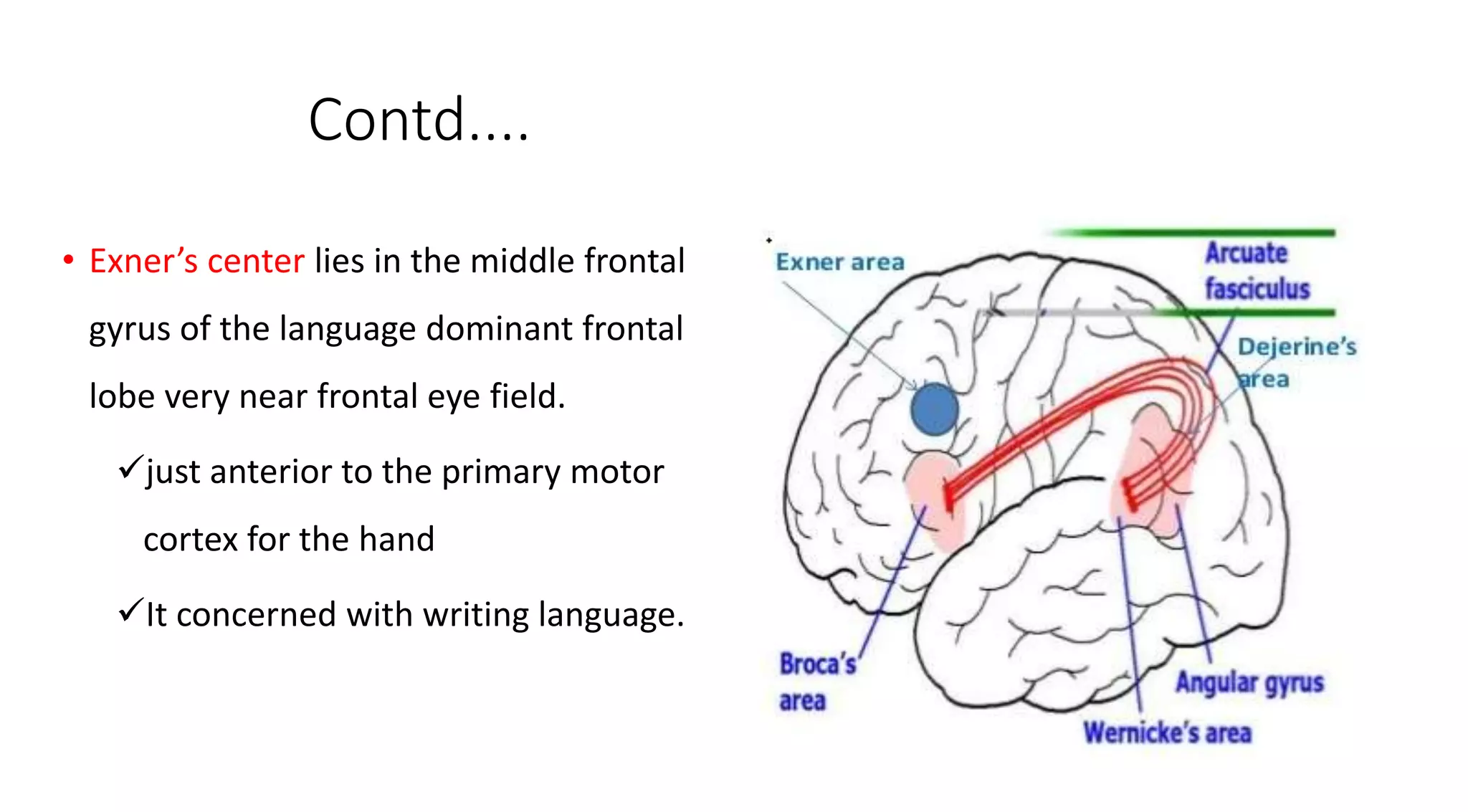 APHASIA AND DYSARTHRIA last.pptx