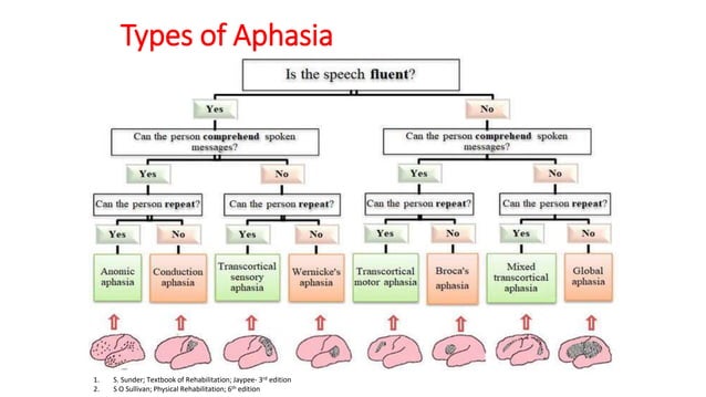 APHASIA AND ITS REHABILITATION FOR PHYSIOTHERAPISTS | PPTX