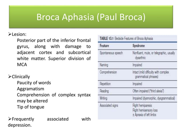 APHASIA and APHASIC SYNDROMES PRESENTATION NEUROLOGY | PPTX | Brain and ...