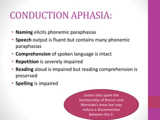Aphasia & memory loss | PPTX