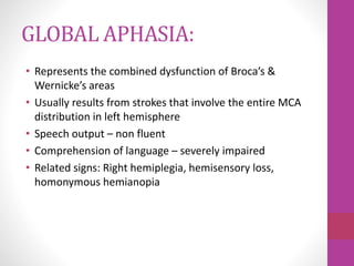 Aphasia & memory loss | PPTX | Brain and Nervous System Disorders ...