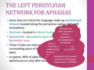 Aphasia & memory loss | PPTX
