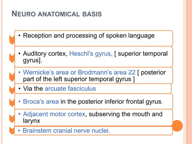 Aphasia and types | PPTX | Brain and Nervous System Disorders ...