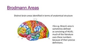 Aphasias & Apraxias.pptx