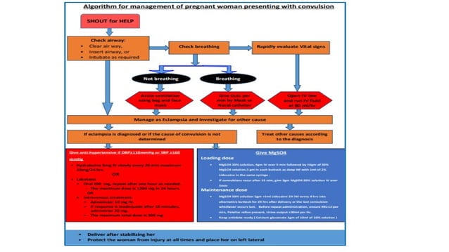 Antepartum Hemorrhage , Eclampsia and Sepsis .pptx