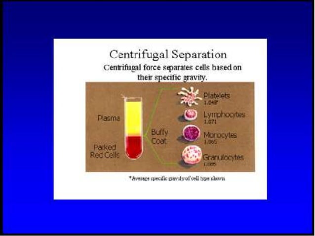 Apheresis | PPTX | Blood Disorders | Diseases and Conditions