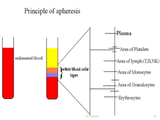 apheresis-181013135806.pdf